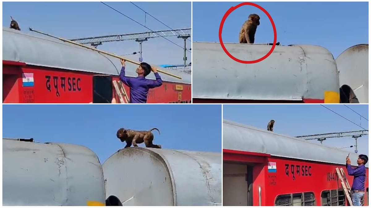 Monkey on The Train: ट्रेन पर चढ़ गया बन्दर, रेस्क्यू करने में छूटे ...