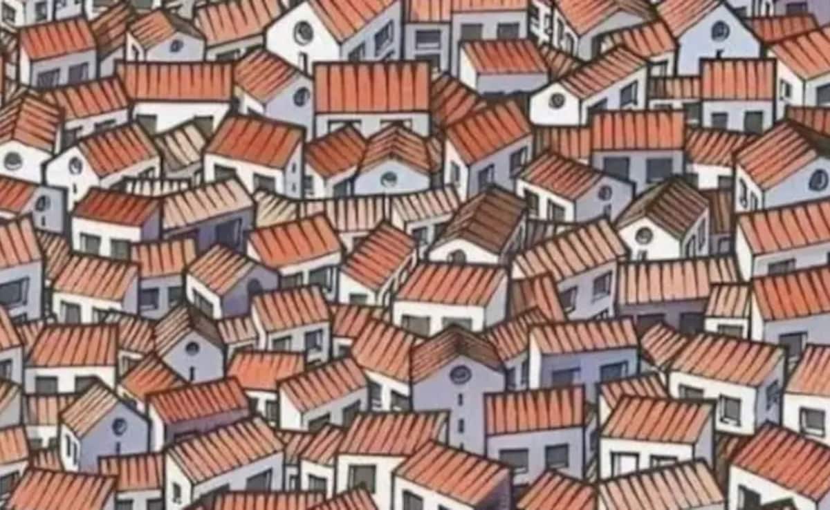 Optical Illusion News can you spot the hidden cat in 30 seconds in this ...