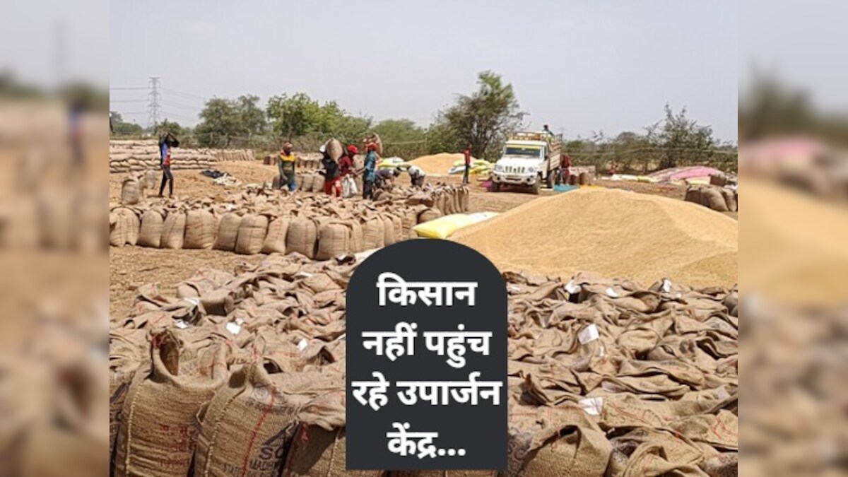 Wheat MSP : MP में क्या गेहूं के सरकारी रेट से खुश नहीं हैं किसान ...