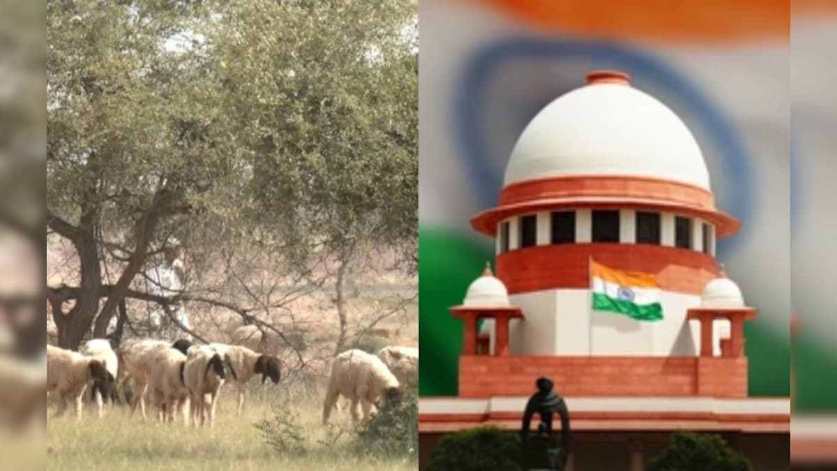 सुप्रीम कोर्ट का बड़ा फैसला, ओरण भूमि की सुरक्षा और पहचान करने के लिए ...