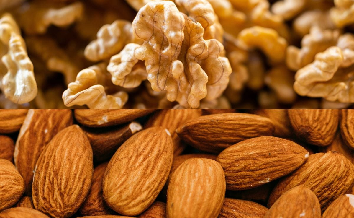 Soaked Almonds And Walnuts For Brain Health