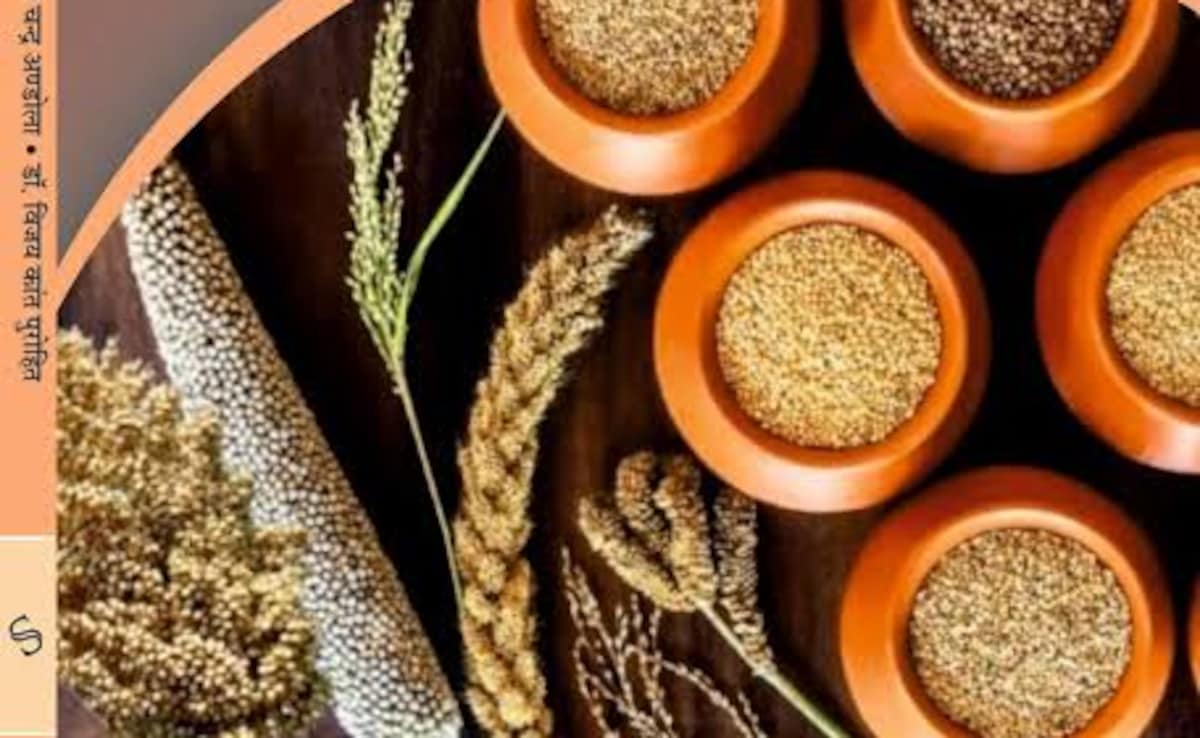 उत्तराखंड की खेती की कहानी: मोटे अनाज से जुड़े राज़ और संघर्ष | Book ...