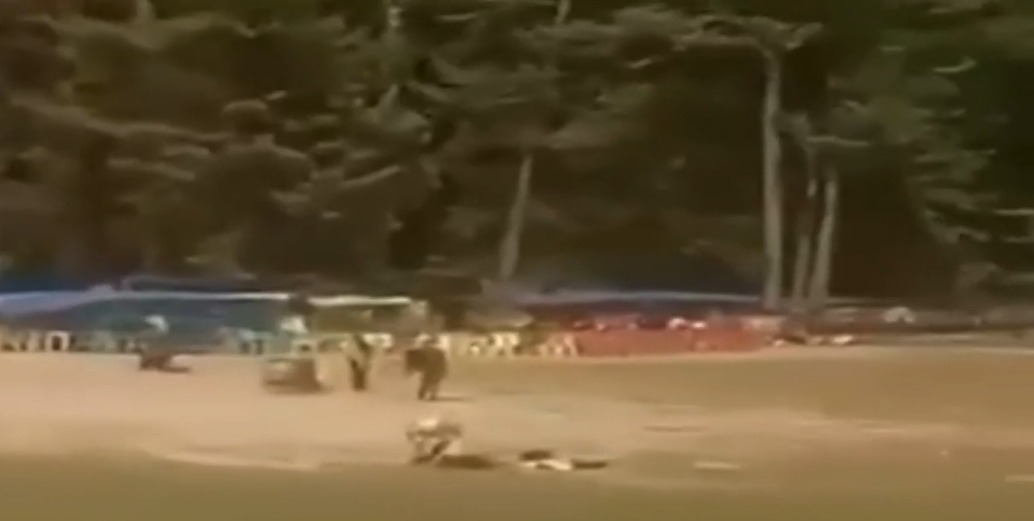 Pahalgam Terrorist Attack: Pahalgam Attack On Camera: Video Captures Horror, Mayhem As ...