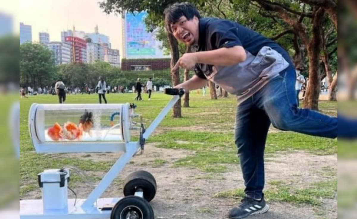 मछलियों को वॉक पर ले जाता है यह शख्स, देख लोग रह गए हक्के-बक्के | fish ...