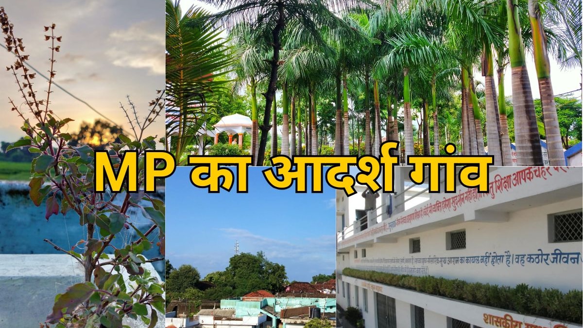 Model village: गांव हो तो ऐसा ! MP के 'बधुवार' की दीवारों से मिलती है ...