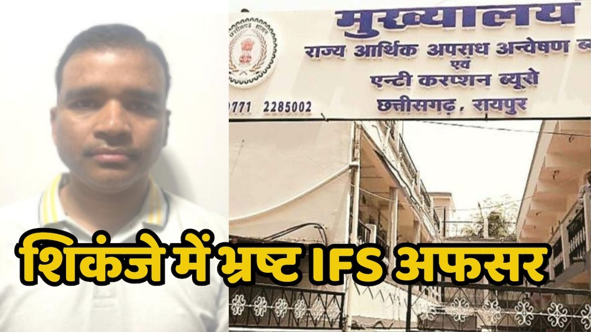 EOW की जांच के बाद IFS अफसर अशोक पटेल पर कसा शिकंजा, तेन्दूपत्ता बोनस ...