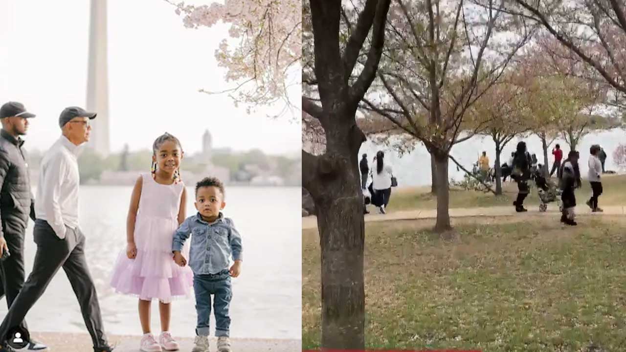 Obama Photobombs Family's Viral Cherry Blossom Snapshot | | Why This DC ...