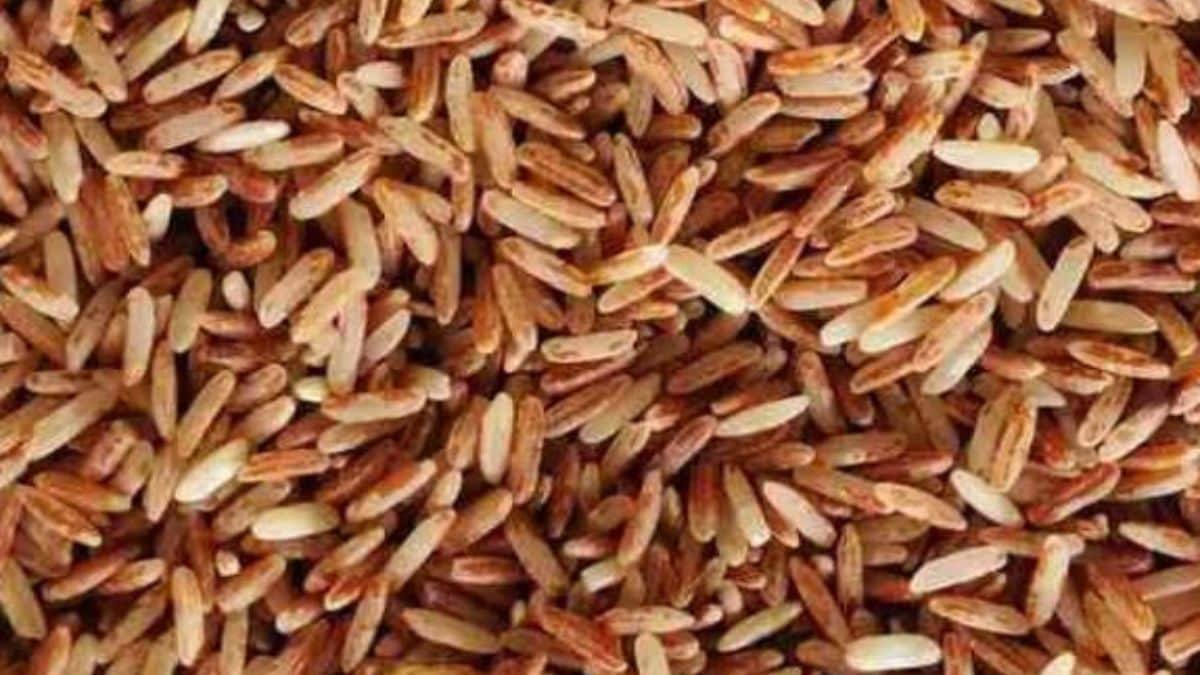 ब्राउन राइस में जहर का खतरा, जानें क्यों और क्या करें सावधानी | risk of ...