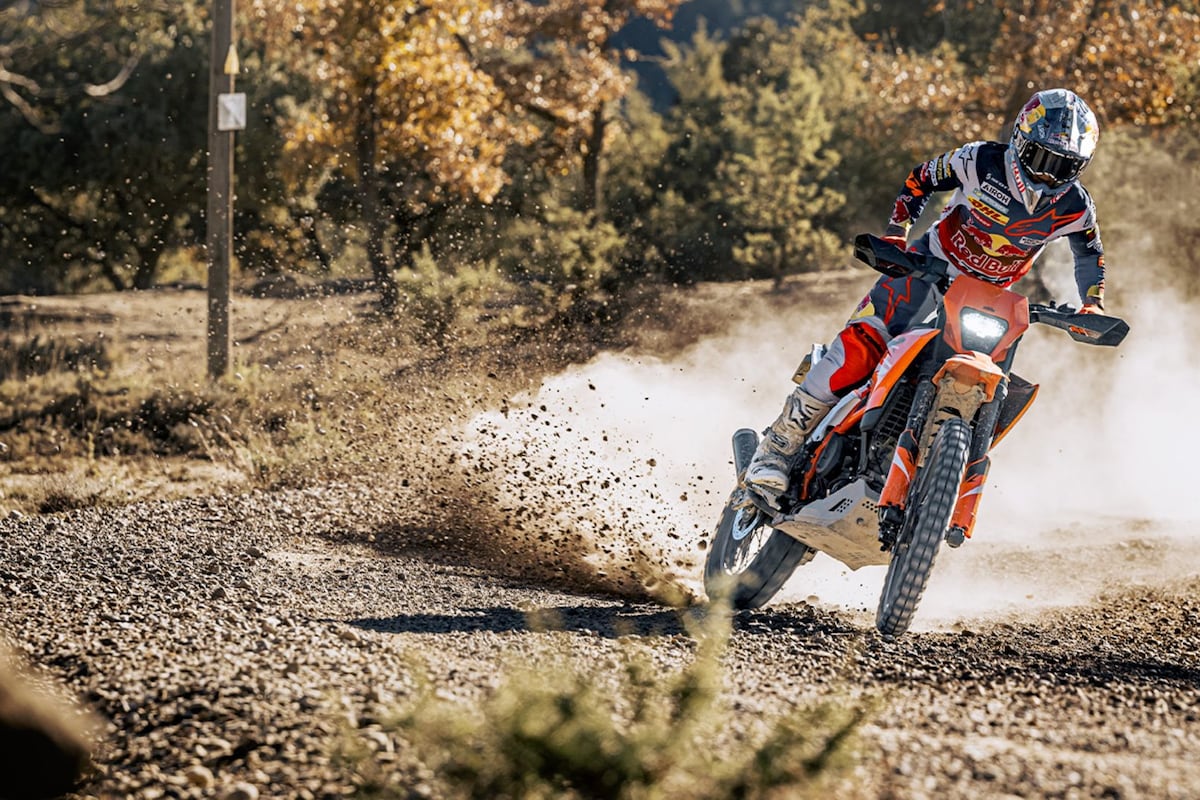 KTM 390 Enduro R Launched In India; Check Price, Specs