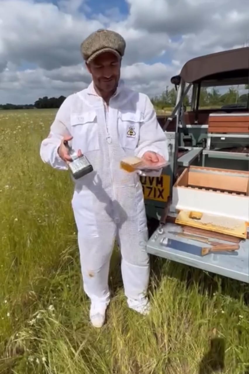 David Beckham Bees | Know All About David Beckham Bees at NDTV Food