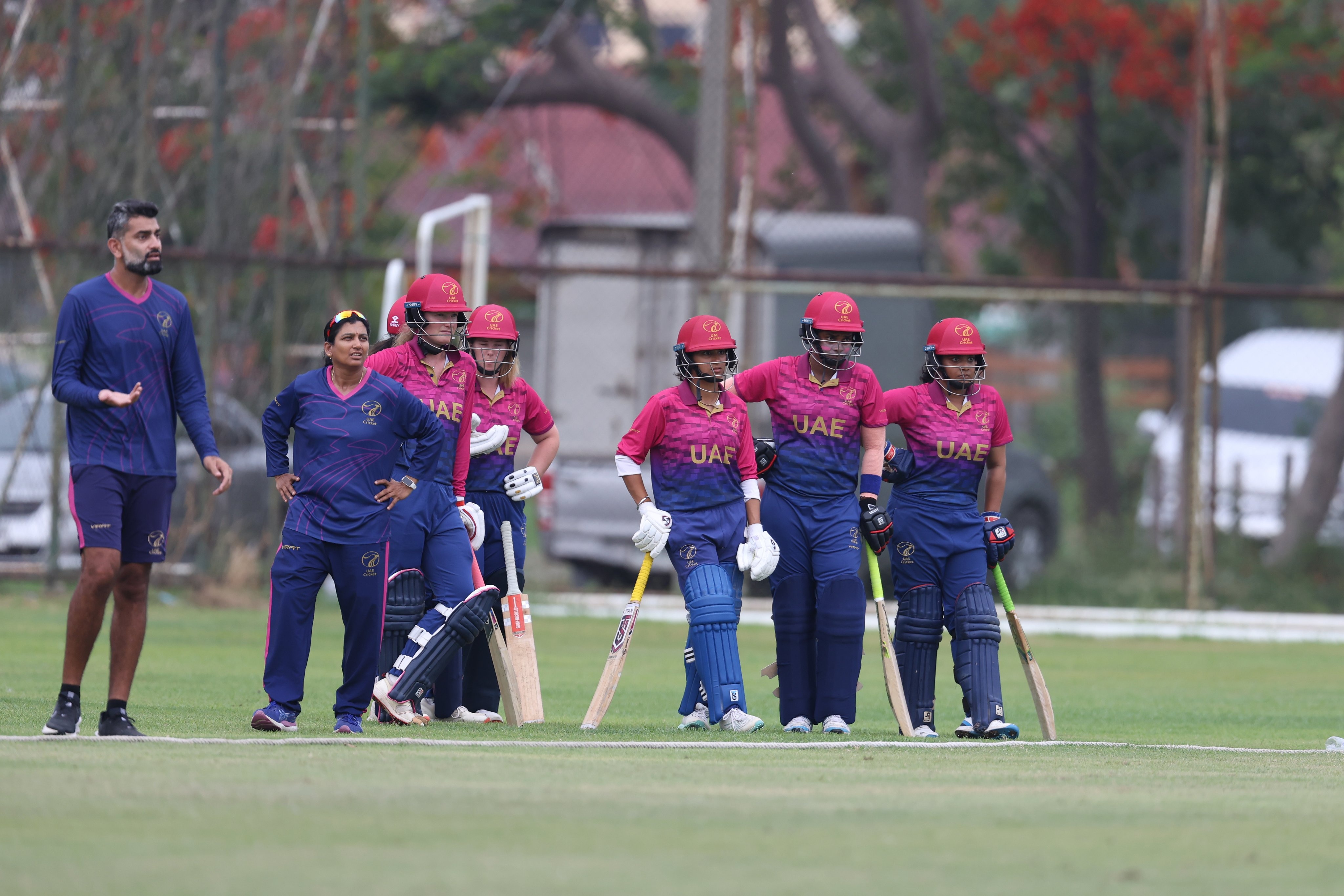 Qatar Cricket Team | Qatar Match Schedules | News | Stats | Records ...