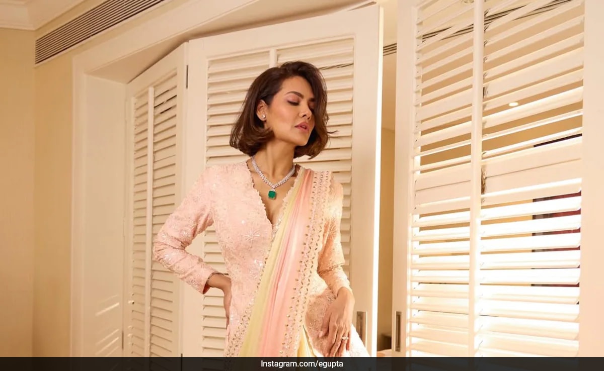WAVE Summit 2025: Esha Gupta's Pick Is A Pastel Ombre Saree And Jacket