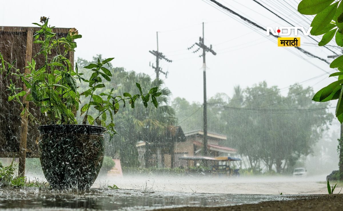 Monsoon news Does the early arrival of the monsoon mean that the rains ...