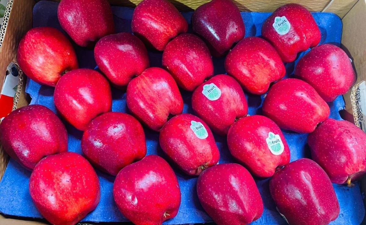 Pune businessman Bans Turkish Apples After Pakistan Support Operation ...