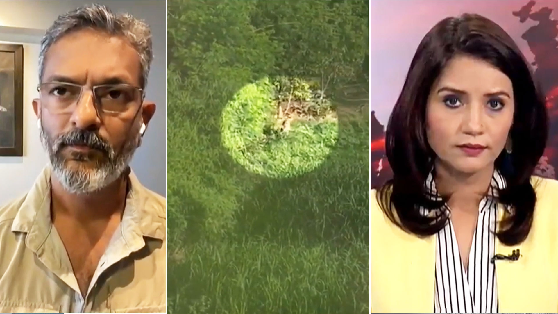 Tiger Tranquilized Days After 40-Year-Old Forest Ranger Killed In ...