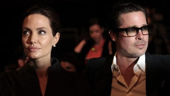 angelina jolie parents divorce