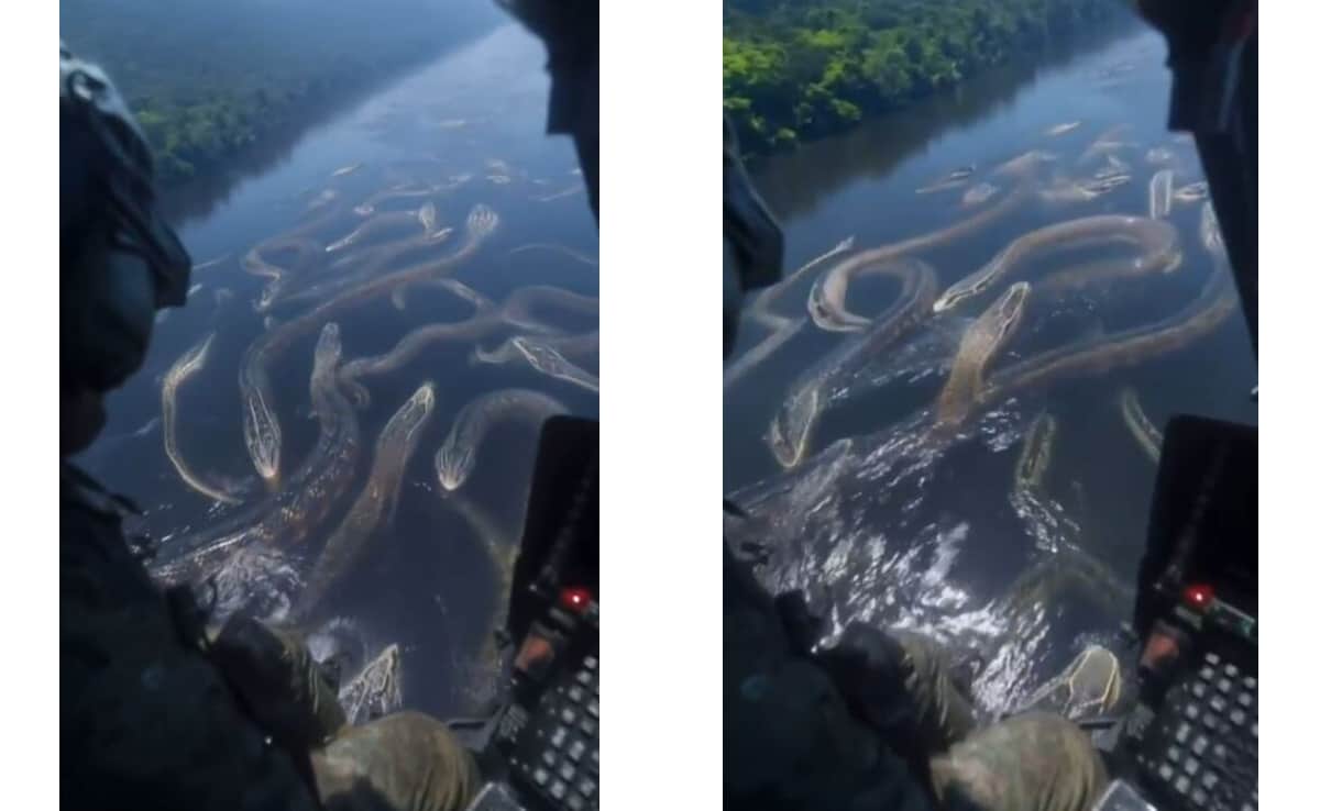 दुनिया की सबसे डरावनी नदी? हेलीकॉप्टर से दिखा मौत का दरिया, दर्जनों ...