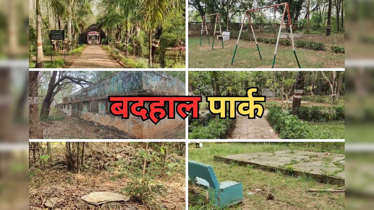 Indira Garden: वेंटिलेटर पर गौरेला का 'ऑक्सी जोन', बदहाली की मार झेल ...