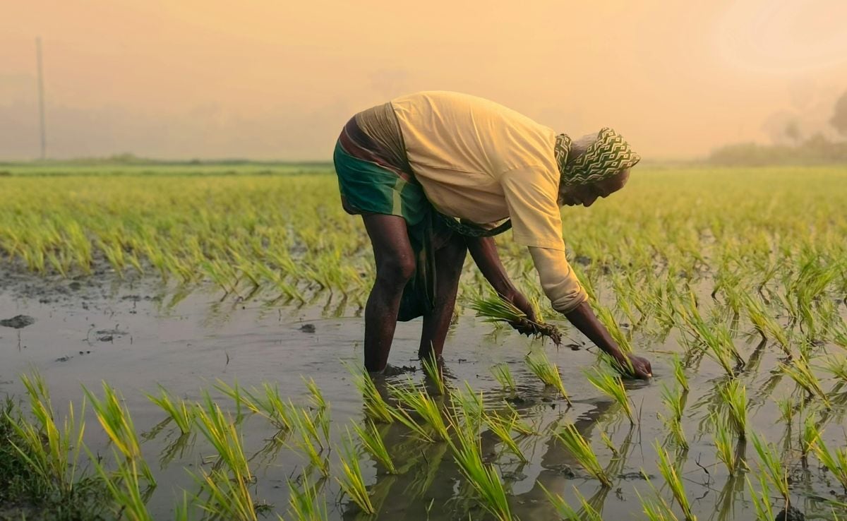 increase in minimum support price MSP of 14 varieties including soybean ...