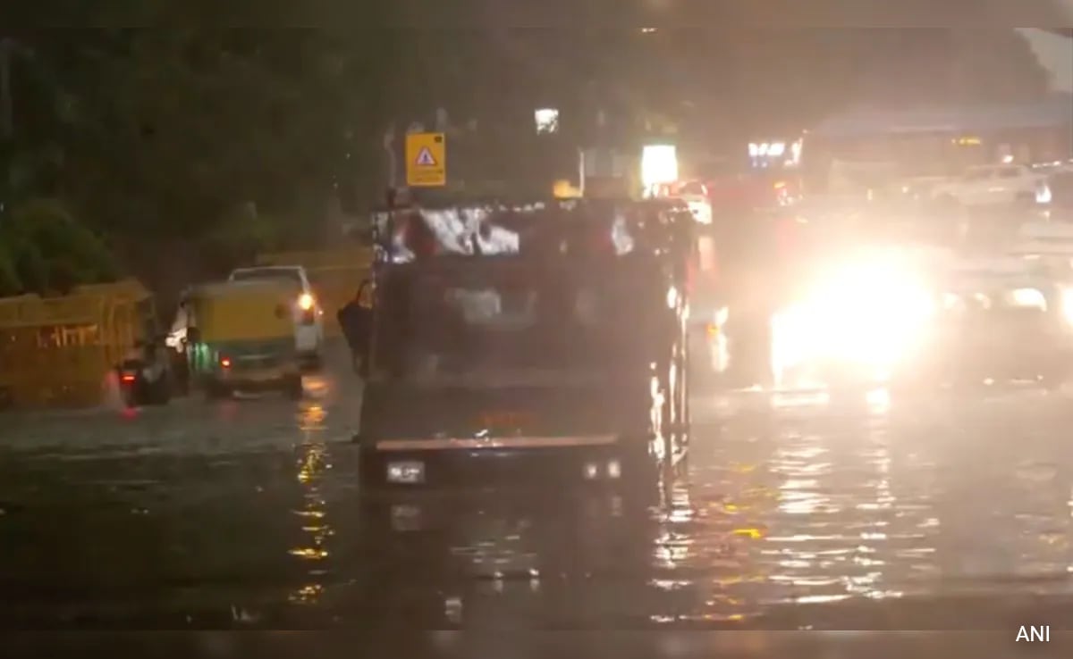 4 Killed, Over 200 Flights Delayed After Heavy Rain, Dust Storm In Delhi-NCR