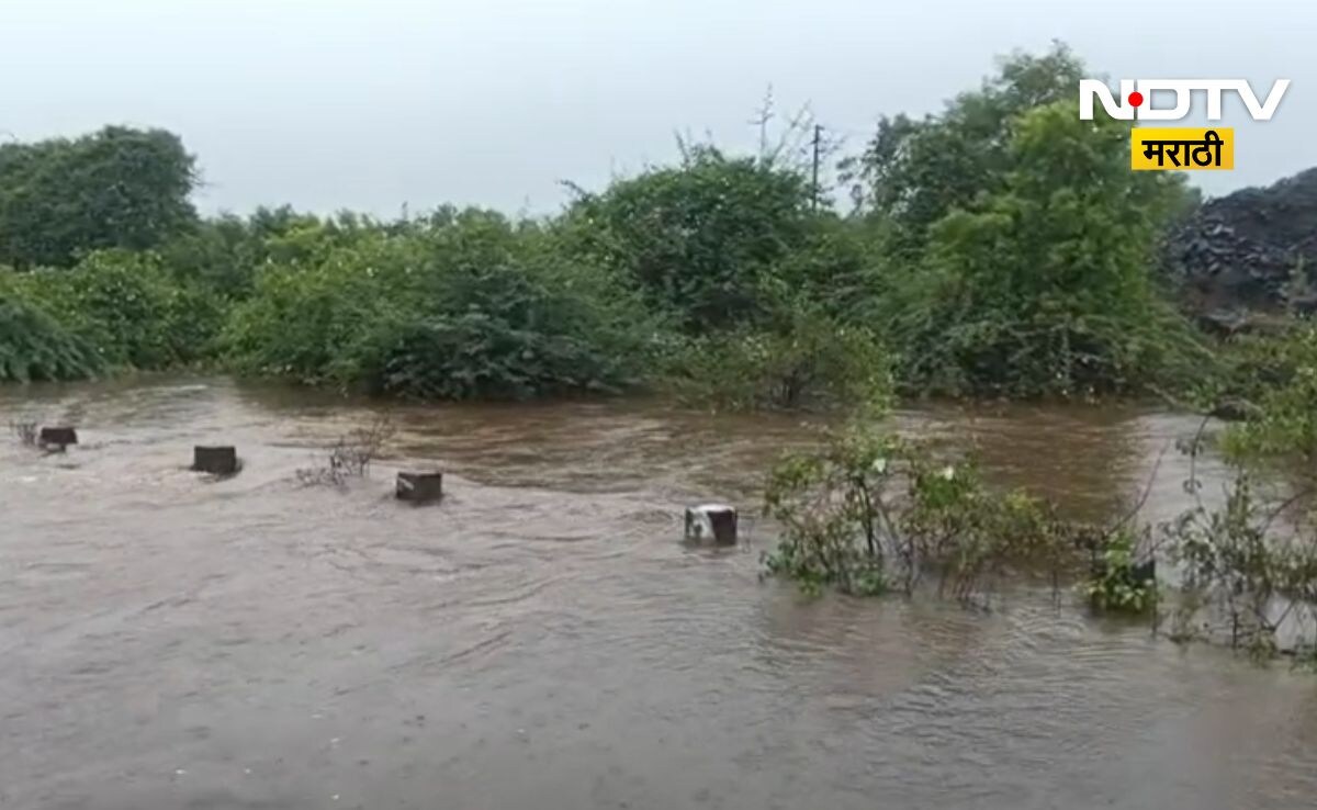 Maharashtra Heavy Rain News As Many as 34 Thousand Hectares Of Crops Affected In State Know Report
