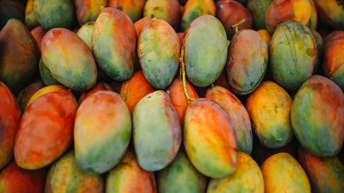 Why Do Mangoes Turn Brown Inside? The Science Behind Spoiled Mangoes ...