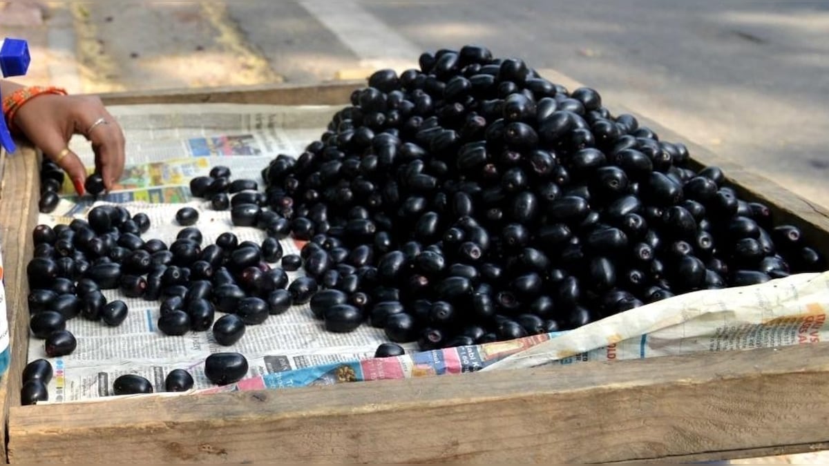 Jamun Benefits: गर्मियों का तोहफा जामुन स्वाद के साथ सेहत का भी है ...