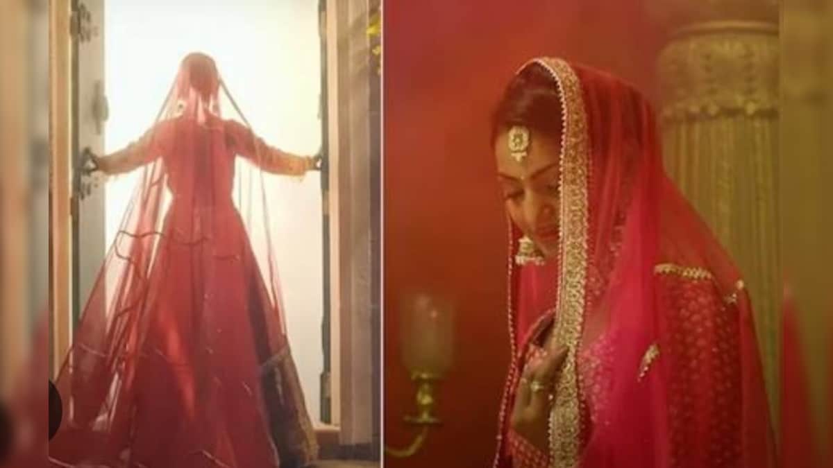 Monalisa Exclusive: 'मुझे स्क्रीन पर देख घर वाले पहचान नहीं पाए, जल्द साउथ फिल्मों में आऊंगी नजर ...