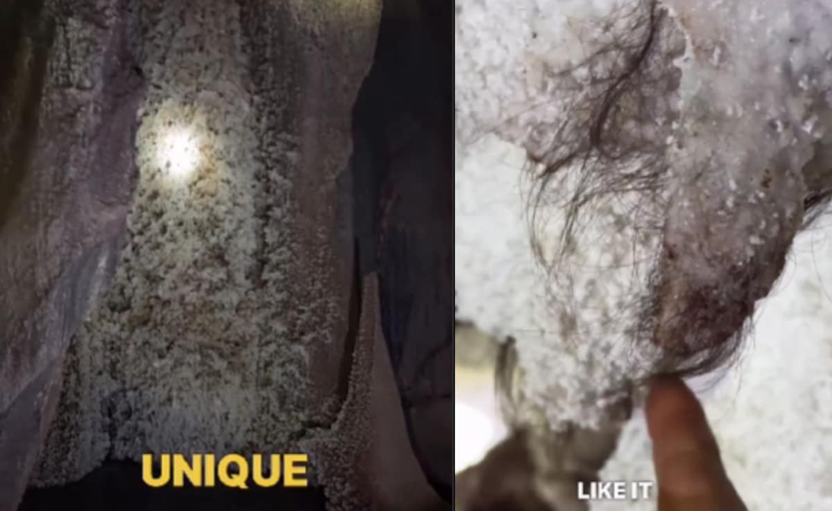 "Found Any Dragon Eggs?": Internet Reacts To Travel Vlogger's "Hairy ...