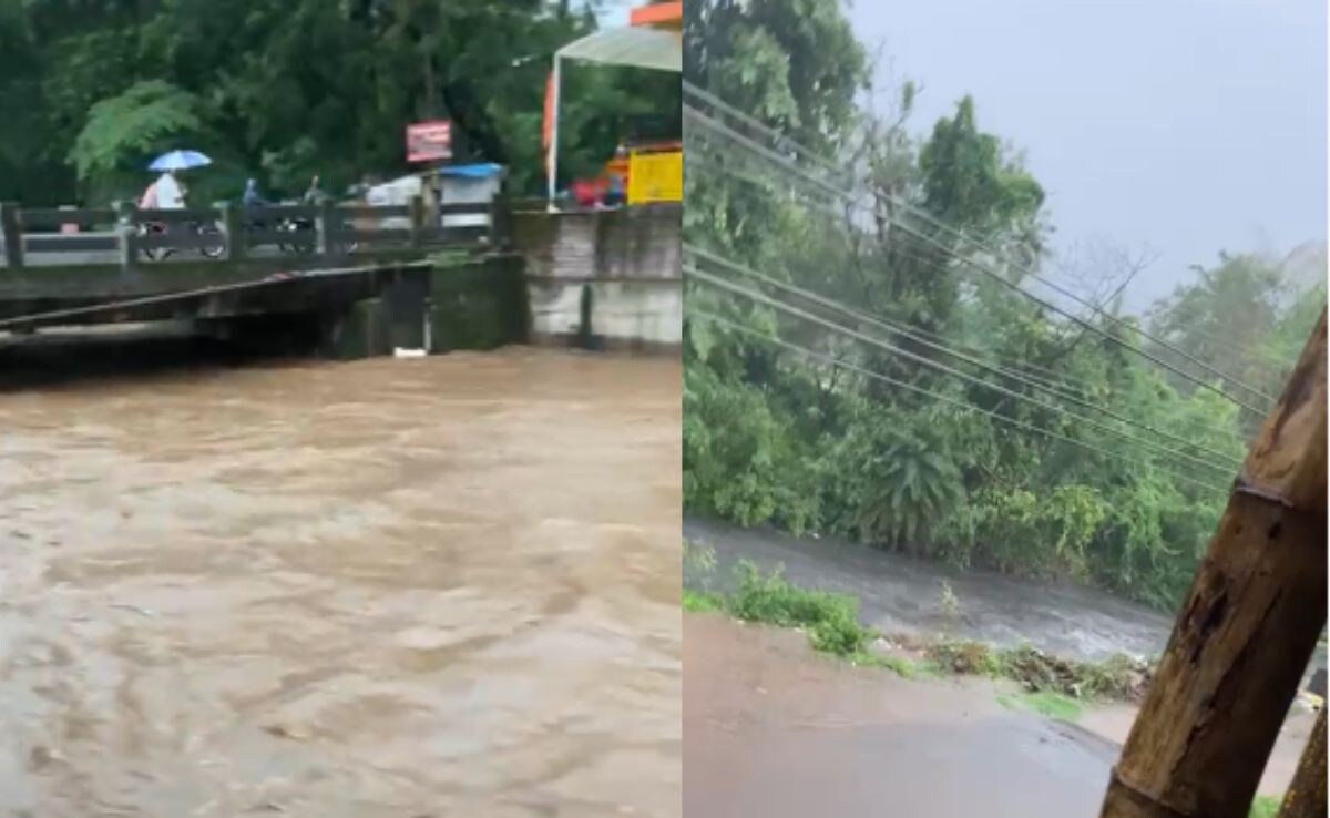 Maharashtra Weather Update Heavy Rainfall in Kolhapur Washim jalna Crop Loses