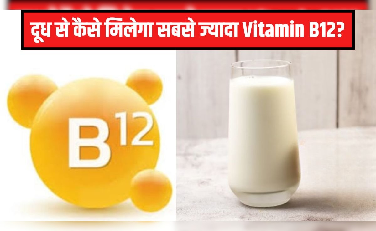 दूध से ज्यादा से ज्यादा Vitamin B12 कैसे लें? न्यूट्रिशनिस्ट ने बताया बस उबालते हुए न करें ये ...
