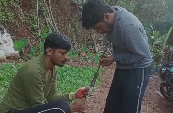 Video: Cobra Swallows 1-Foot Long Knife. Here's How They Took It Out