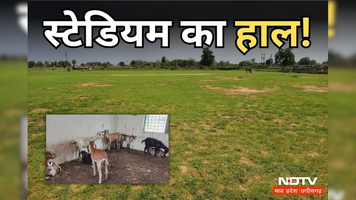 Dhamtari Mini Stadium: मिनी स्टेडियम में खिलाड़ियों की जगह दिख रहीं बकरियां, खंडहर हुआ 52 लाख ...