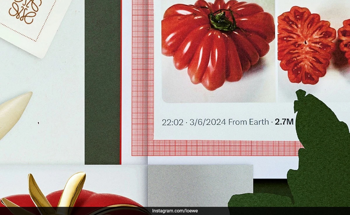 Loewe's Tomato Clutch Is Summer 2025's Most Absurd IT-Bag