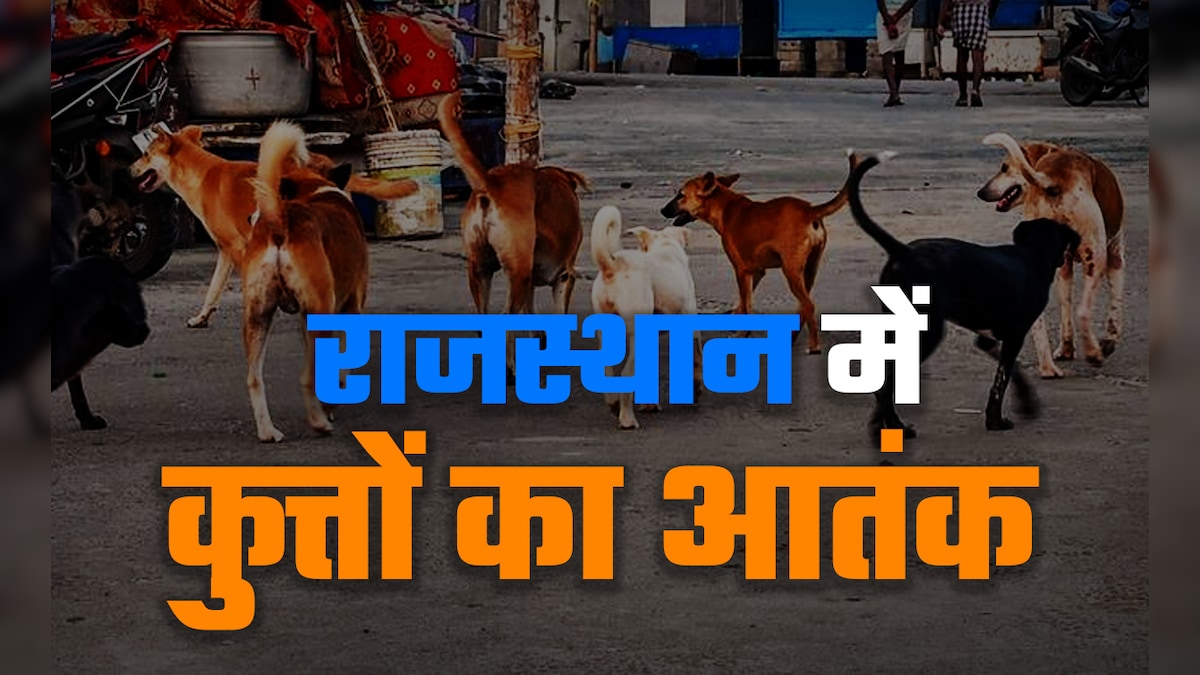 Rajasthan: सालभर में 4 लाख लोगों को कुत्तों ने बनाया शिकार, हर दिन 1100 मामले, 87 हजार वैक्सीन ...