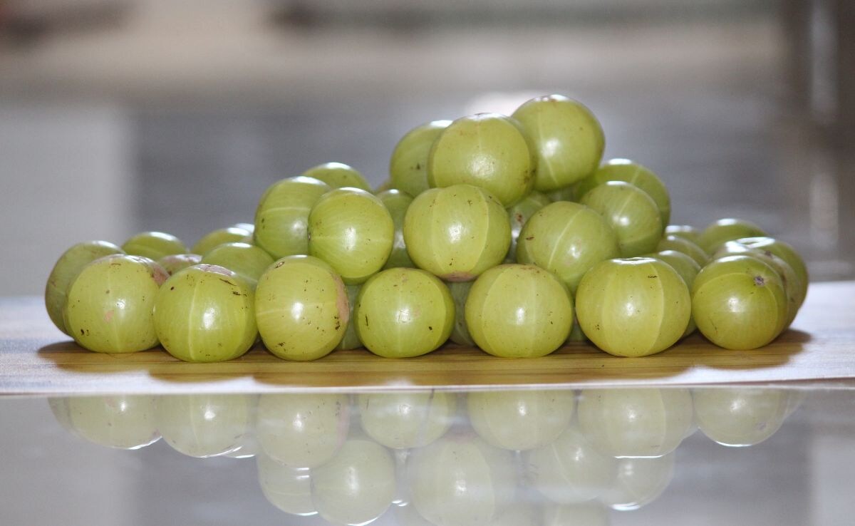 Why You Must Add Amla To Your Daily Diet This Winter