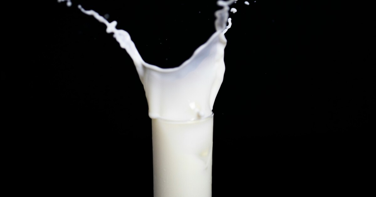The Most Expensive Milk In The World