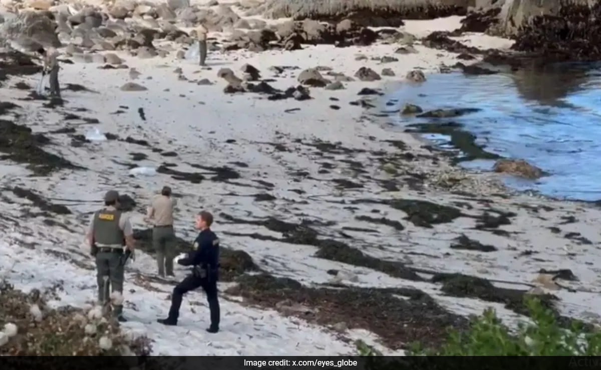 3 Found 'Unresponsive' A Day After Plane Crashed In Ocean Off ...