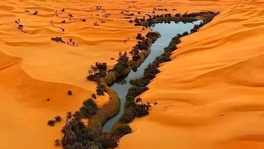 sahara c