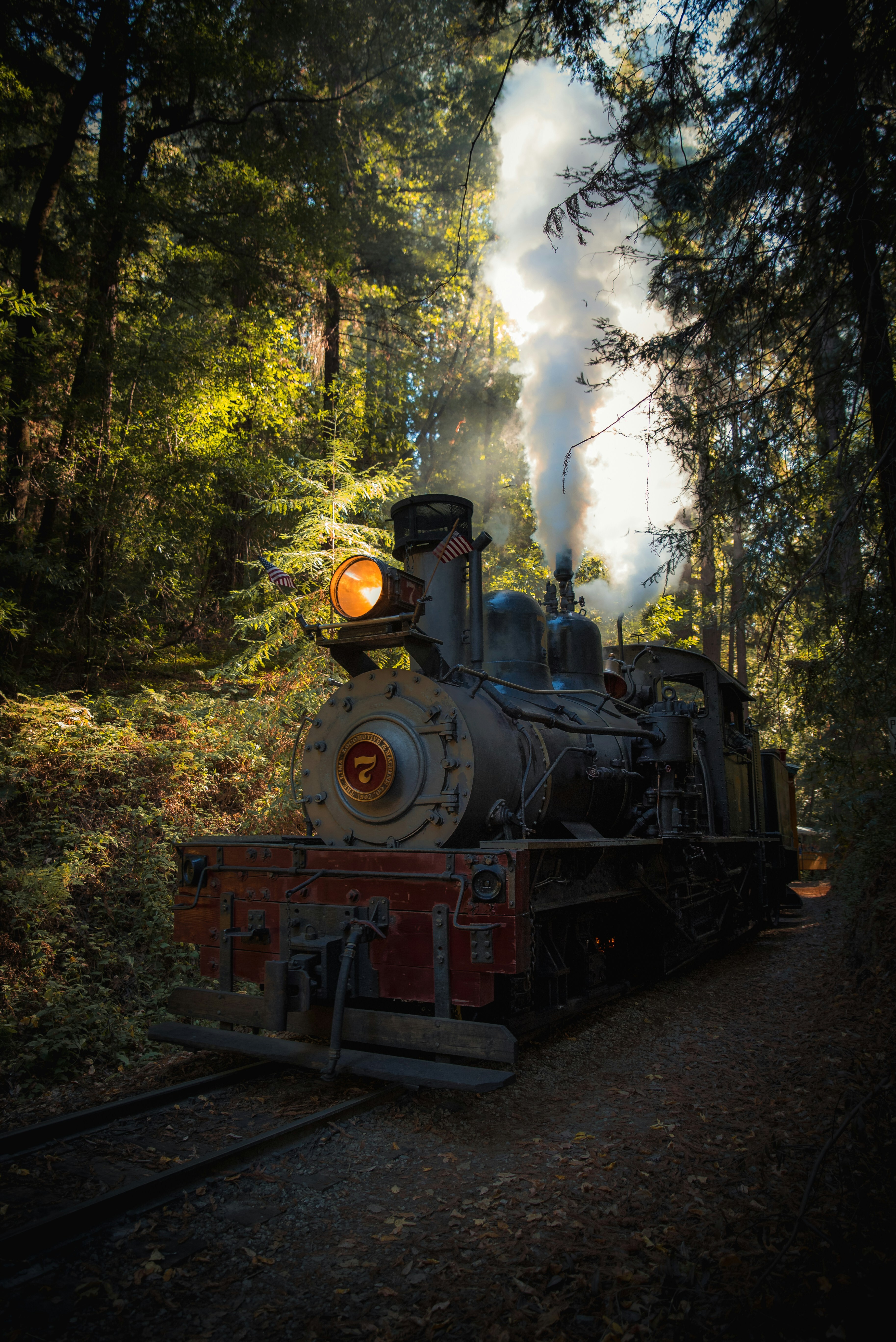 5 Scenic Toy Train Rides Still Operating In India