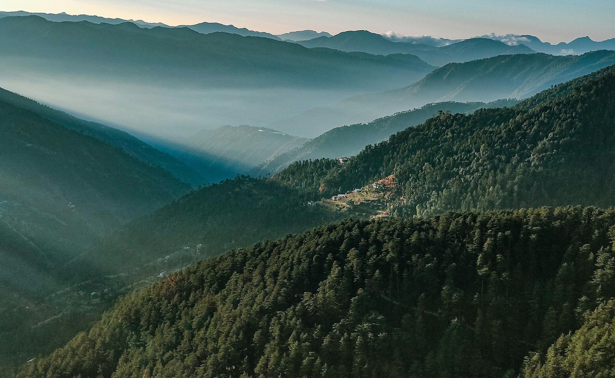 Why Chail In Himachal Pradesh Should Be On Your Travel Bucket List
