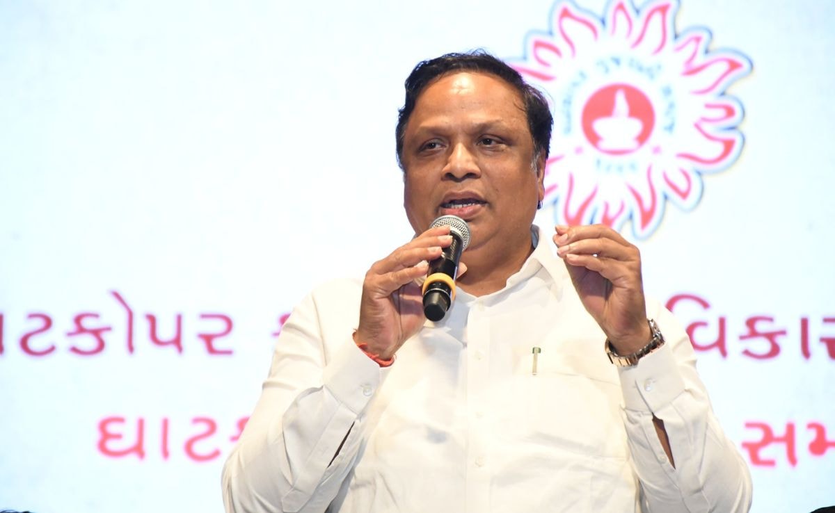 MNS Leaders Reply Ashish Shelar On Marathi Hindi Language Row Compare ...