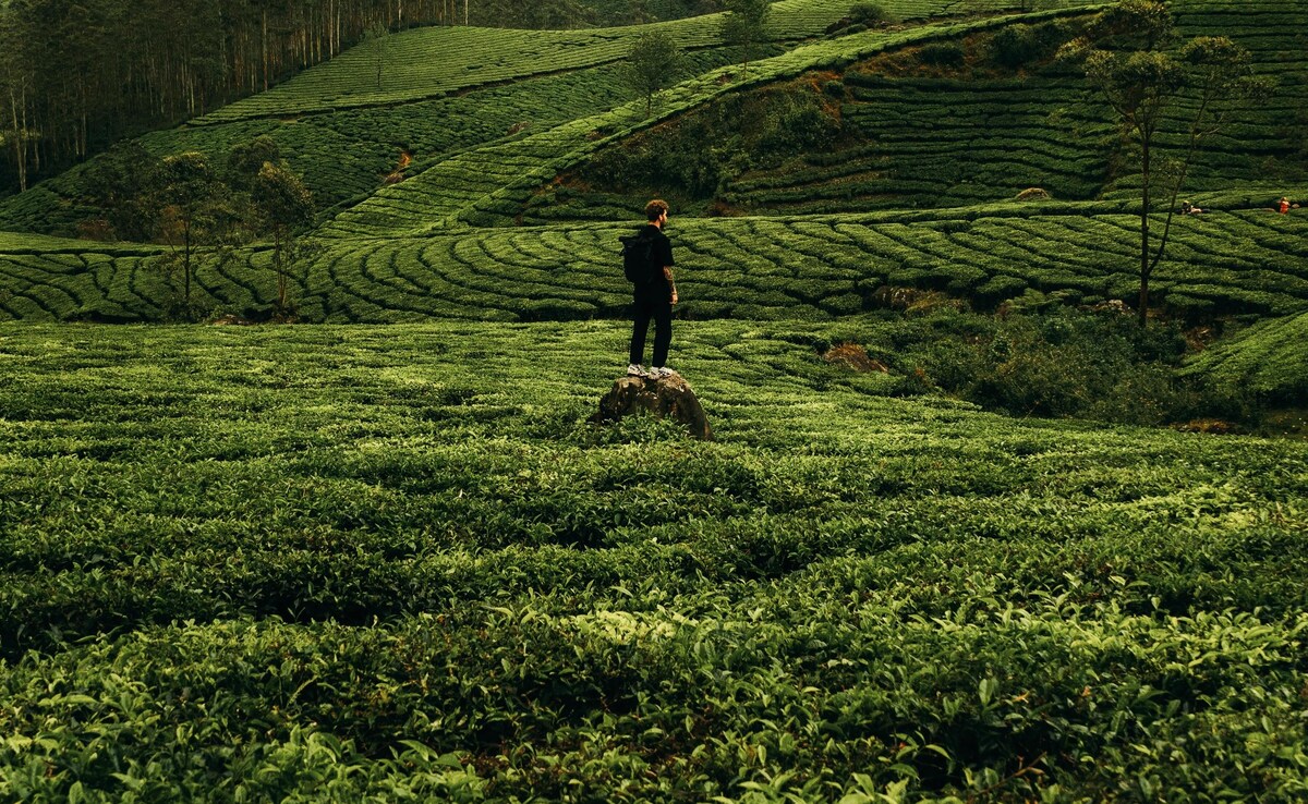 7 Incredible Natural Phenomena You'll Only Catch During Monsoon