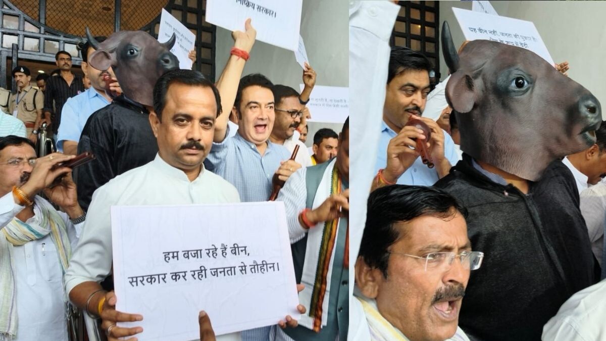 MP Monsoon Session: मध्य प्रदेश विधानसभा परिसर में भैंस के आगे बीन बजाकर प्रदर्शन कर रही ...