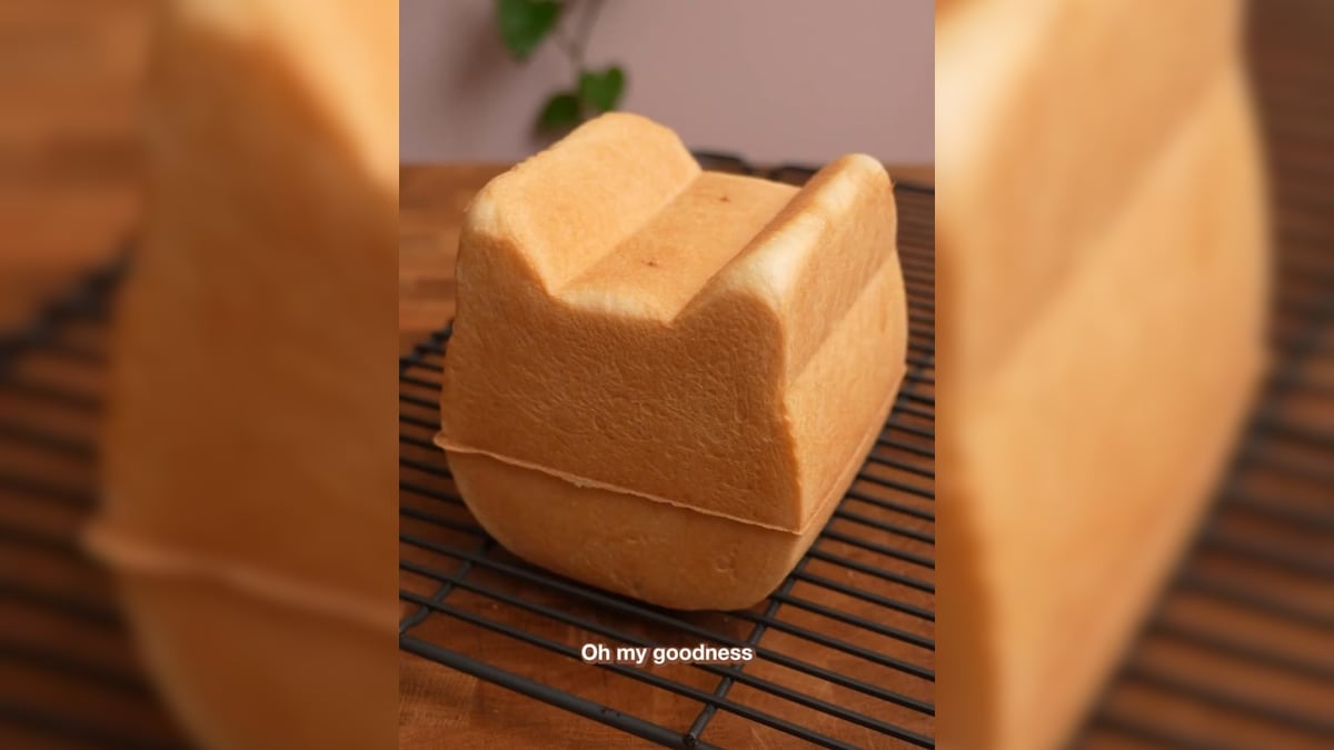 Viral Video Shows The Making Of Adorable "Cat Bread". Internet Is In ...