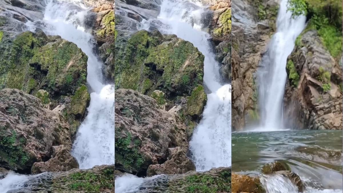 Rani Dahra Waterfall की सुंदरता में लगा चार चांद, मनमोहक नजारा देखने ...