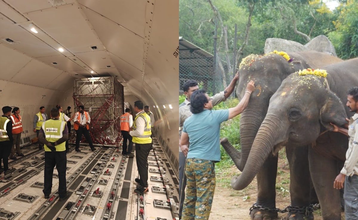 महीनों का प्रशिक्षण और फिर हवाई जहाज का सफर... बेंगलुरु से जापान पहुंचे ...