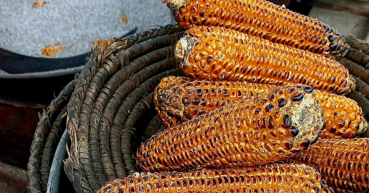 Burnt Bhutta Again? Try These 5 Tips