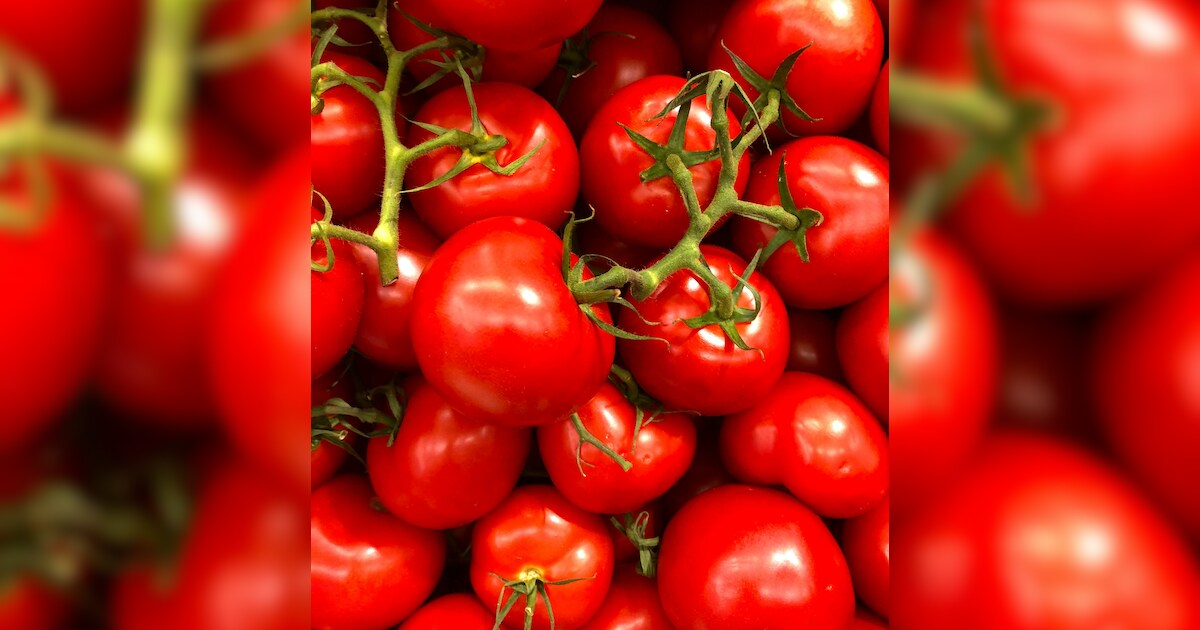 Health Benefits Of Eating Raw Tomatoes