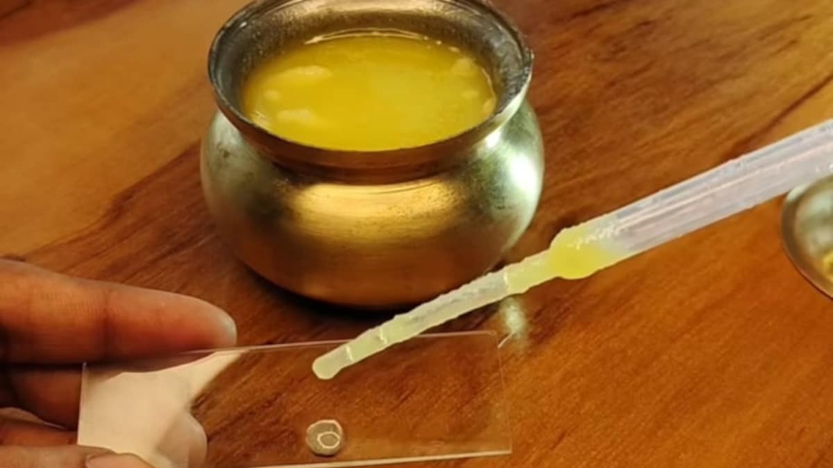 What Would Ghee Look Like Under A Microscope? This Video Comes With A ...